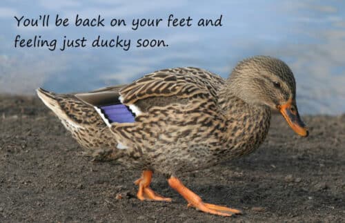 Get Well Duck – Excelsior Springs Hospital