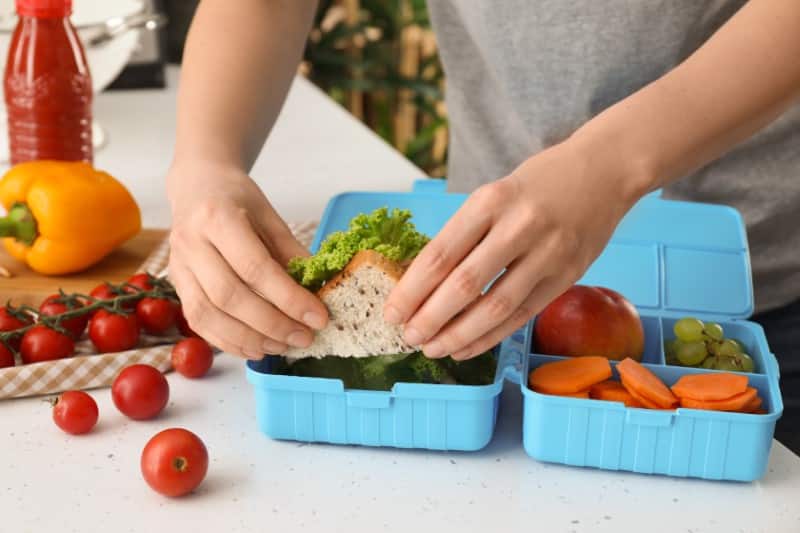 Packing Lunch for Your School-Aged Child – Excelsior Springs Hospital